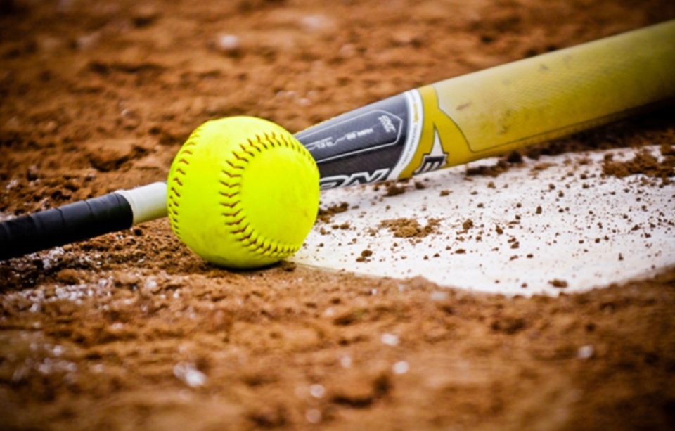 Local teams surge into state playoffs – BLITZ